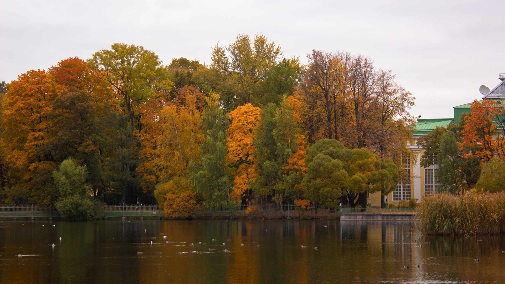 Таврический сад в Санкт-Петербурге: фото, цены, история, отзывы, как добраться